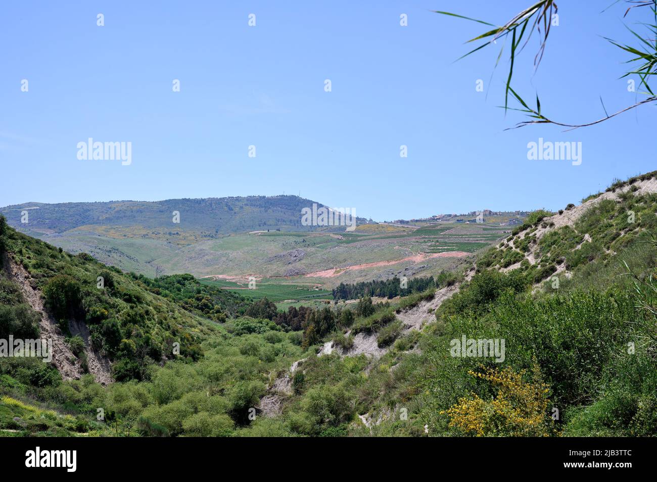Landscapes and plants in the area of the Ayuna water stream. River ...