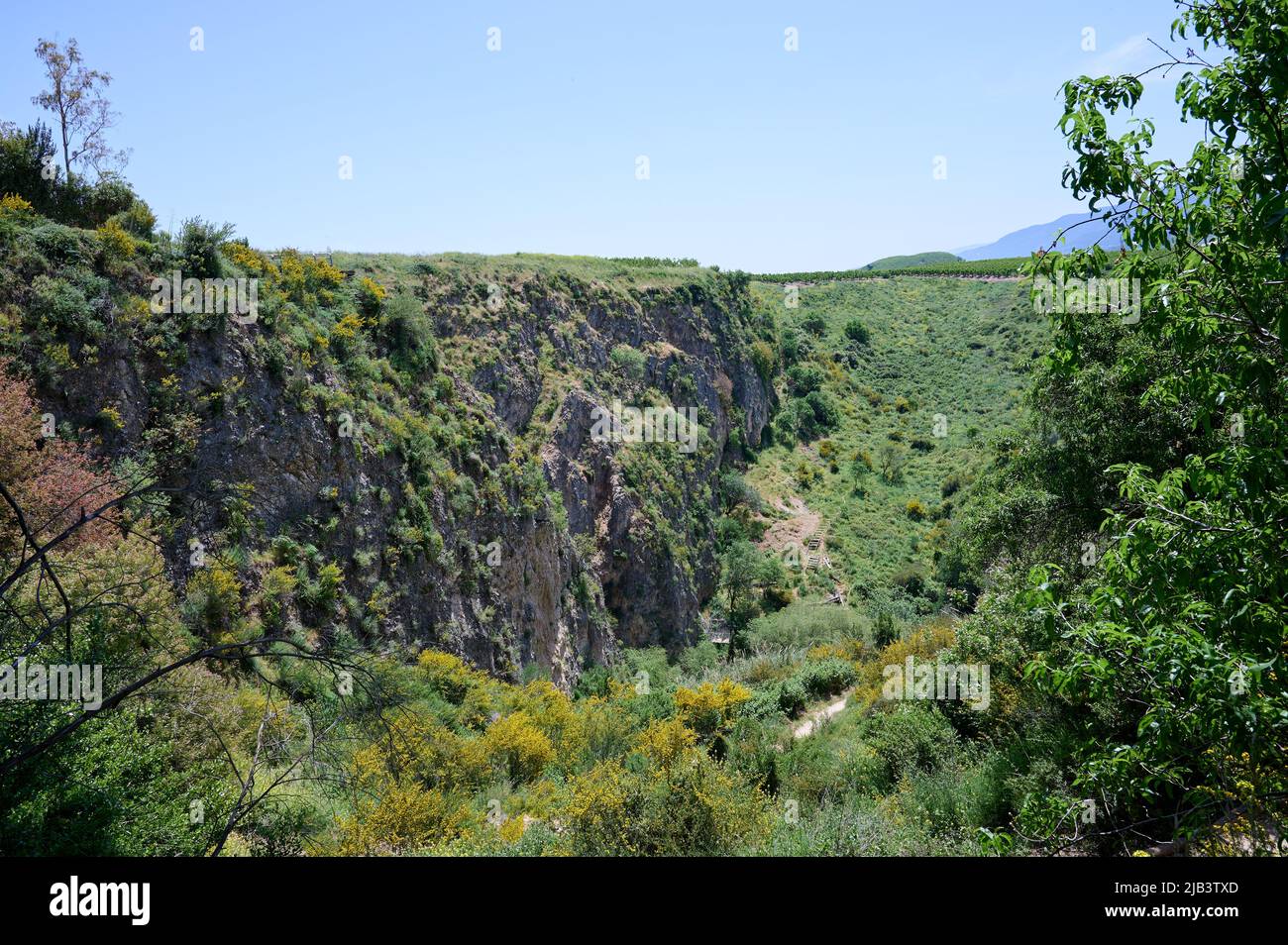 Landscapes and plants in the area of the Ayuna water stream. River ...