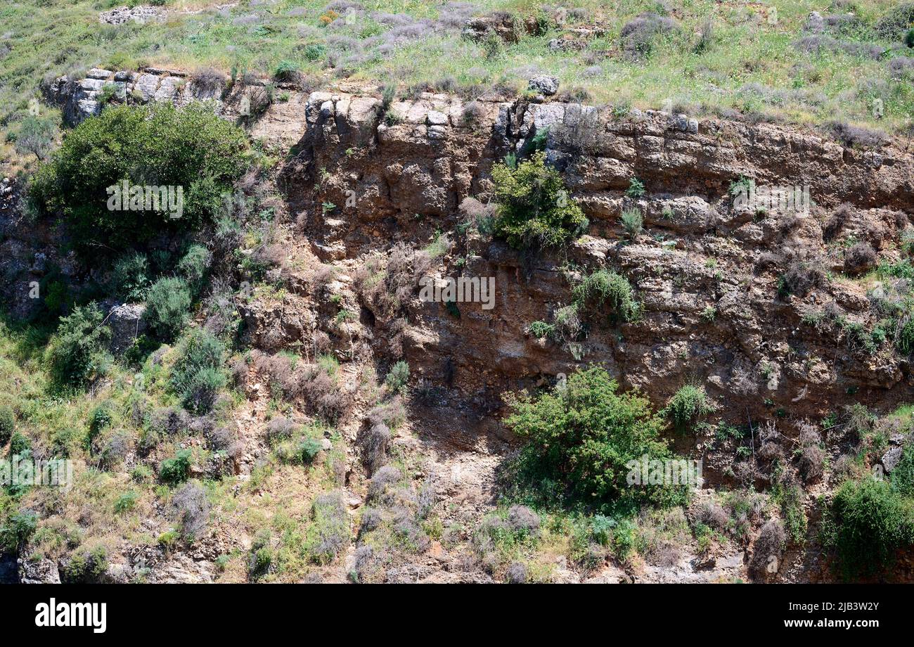 Landscapes and plants in the area of the Ayuna water stream. River ...
