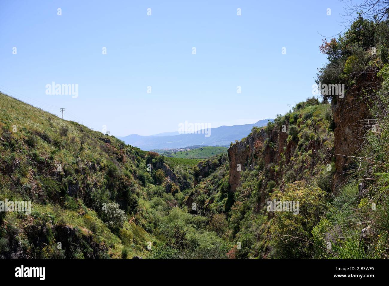 Landscapes and plants in the area of the Ayuna water stream. River ...