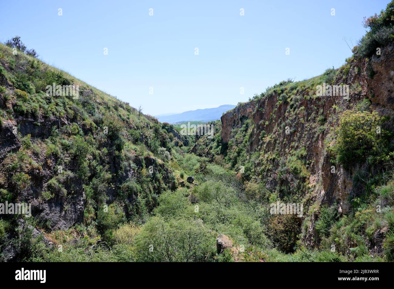Landscapes and plants in the area of the Ayuna water stream. River ...