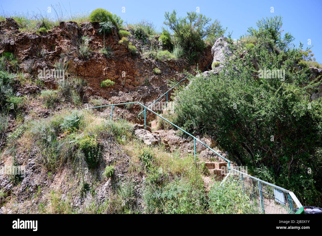 Landscapes and plants in the area of the Ayuna water stream. River ...