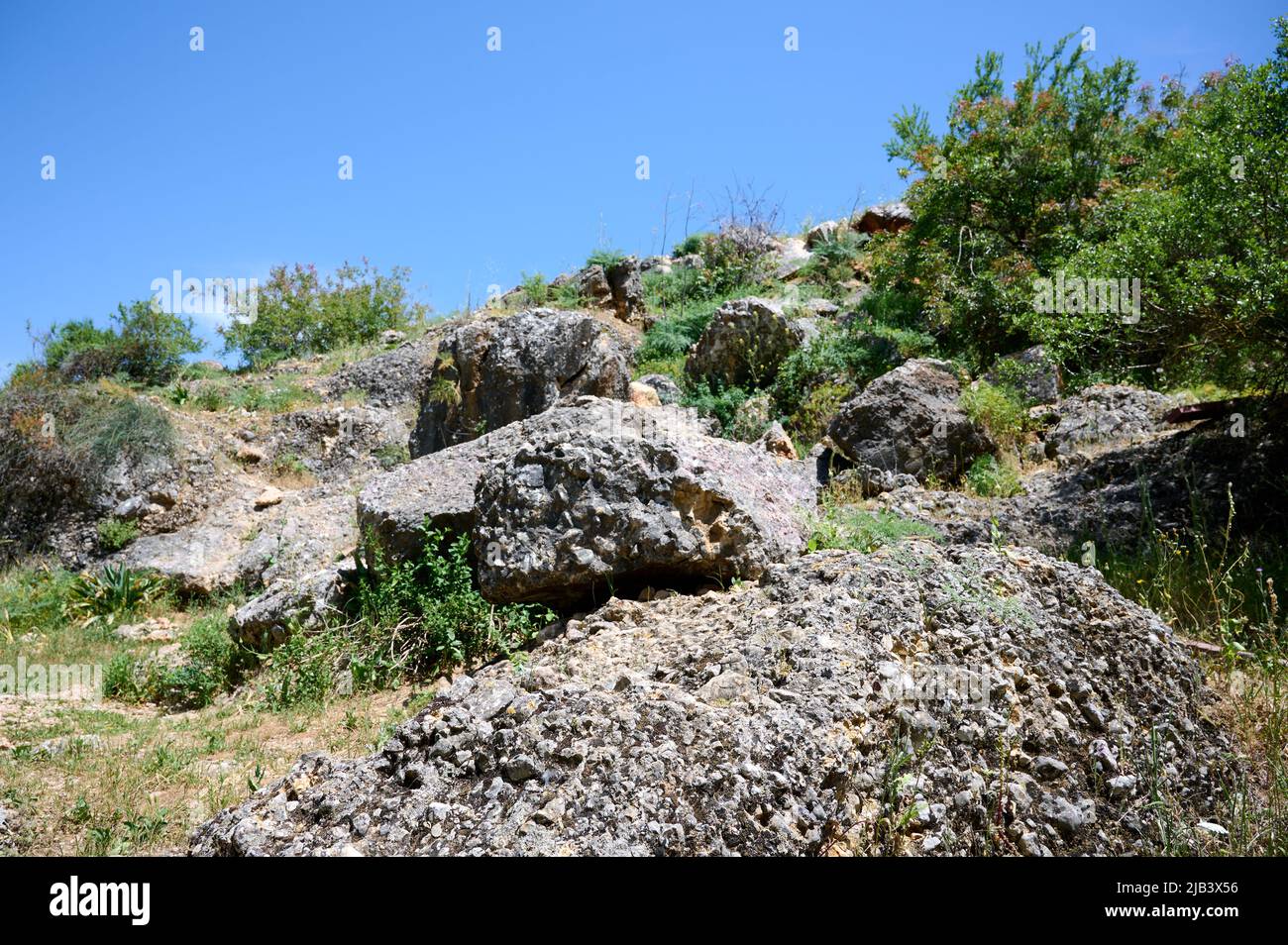 Landscapes and plants in the area of the Ayuna water stream. River ...