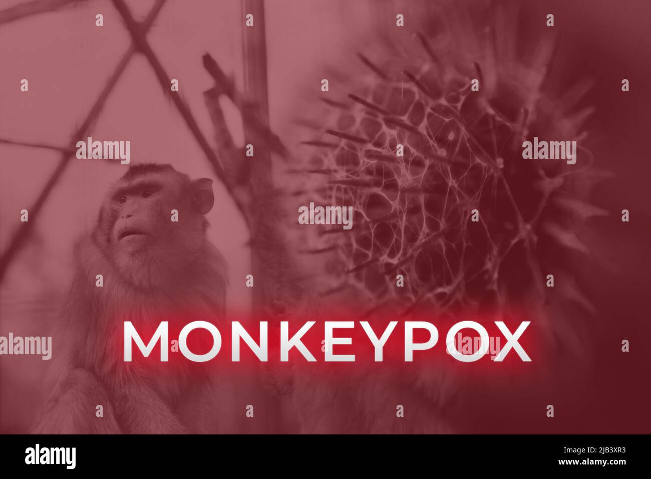 Monkeypox cells hi-res stock photography and images - Alamy