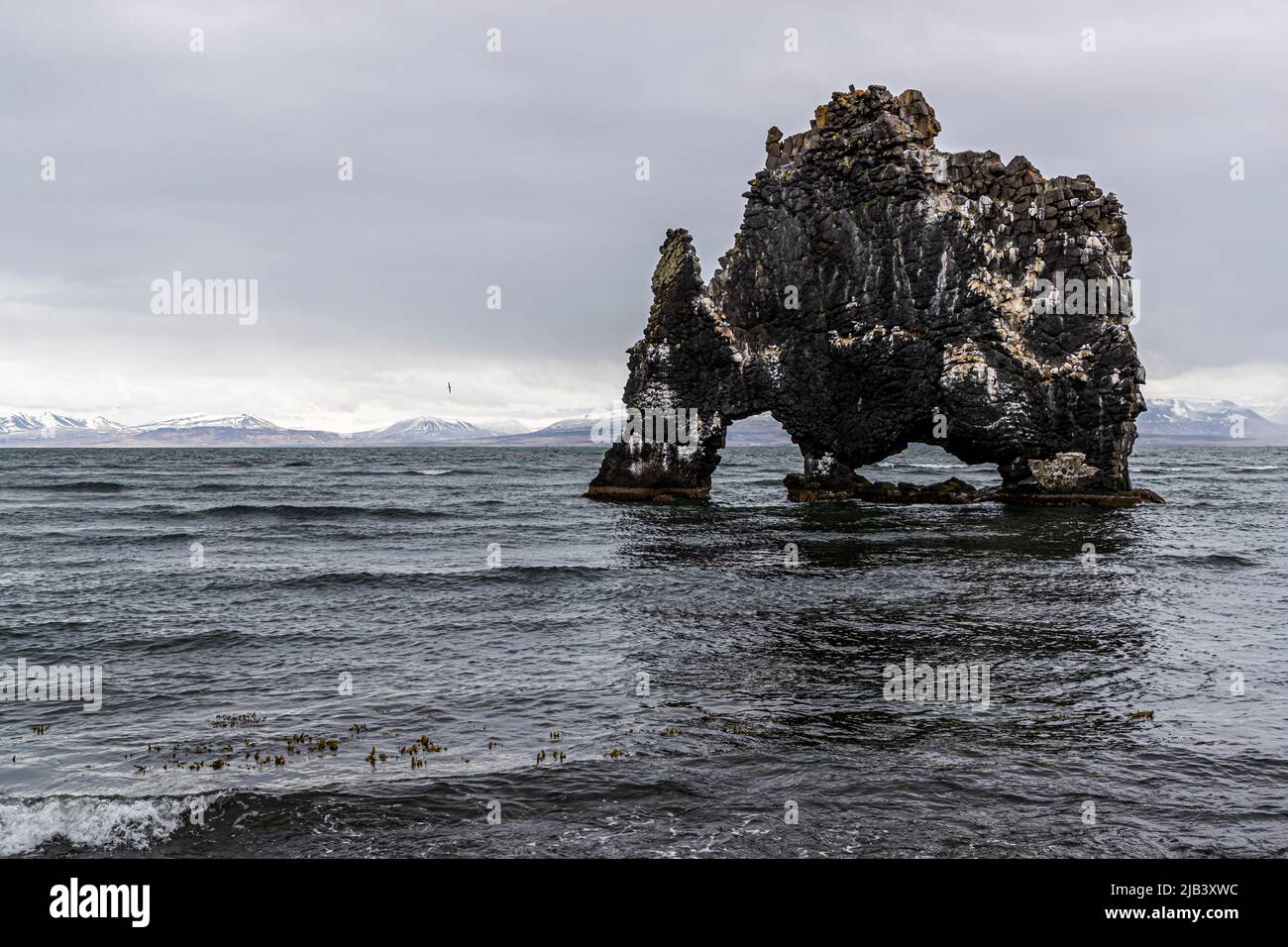 Hvítserkur is a 15 m high basalt rock jutting out of Húnaflói Bay in ...