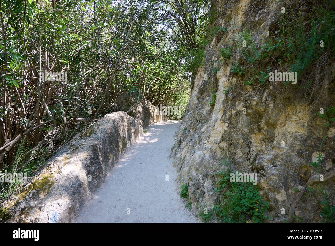 Waterfall landscape. Ayun's fall water stream. River Nahal Ayun. Nature ...