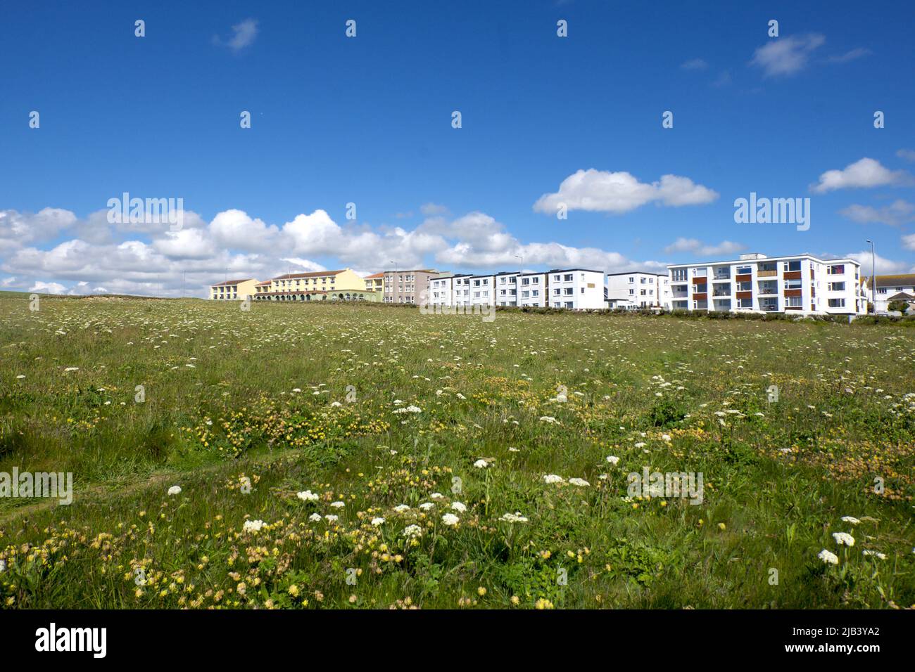 Whipsiderry beach cliff hi-res stock photography and images - Alamy