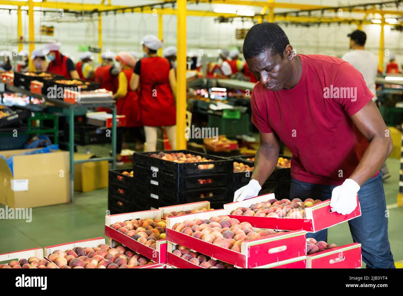 Man carrying crates of food hi-res stock photography and images - Alamy