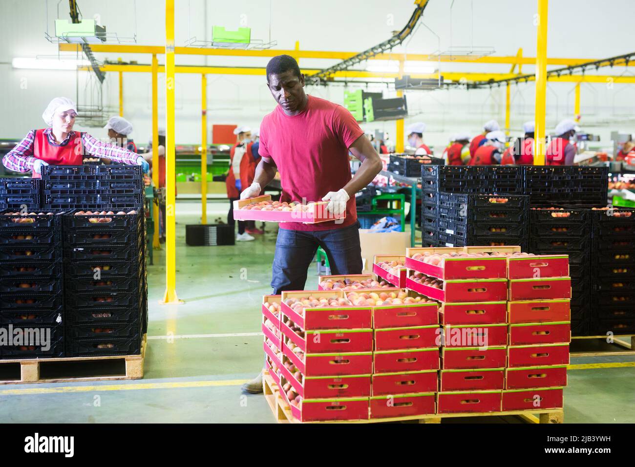 Stacking fruit boxes hi-res stock photography and images - Alamy