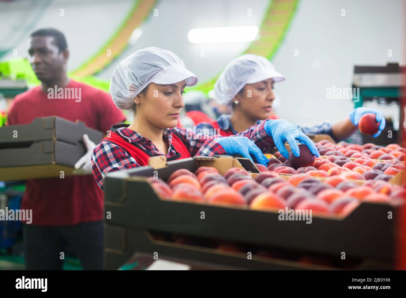 Woman working on producing sorting line at warehouse Stock Photo - Alamy