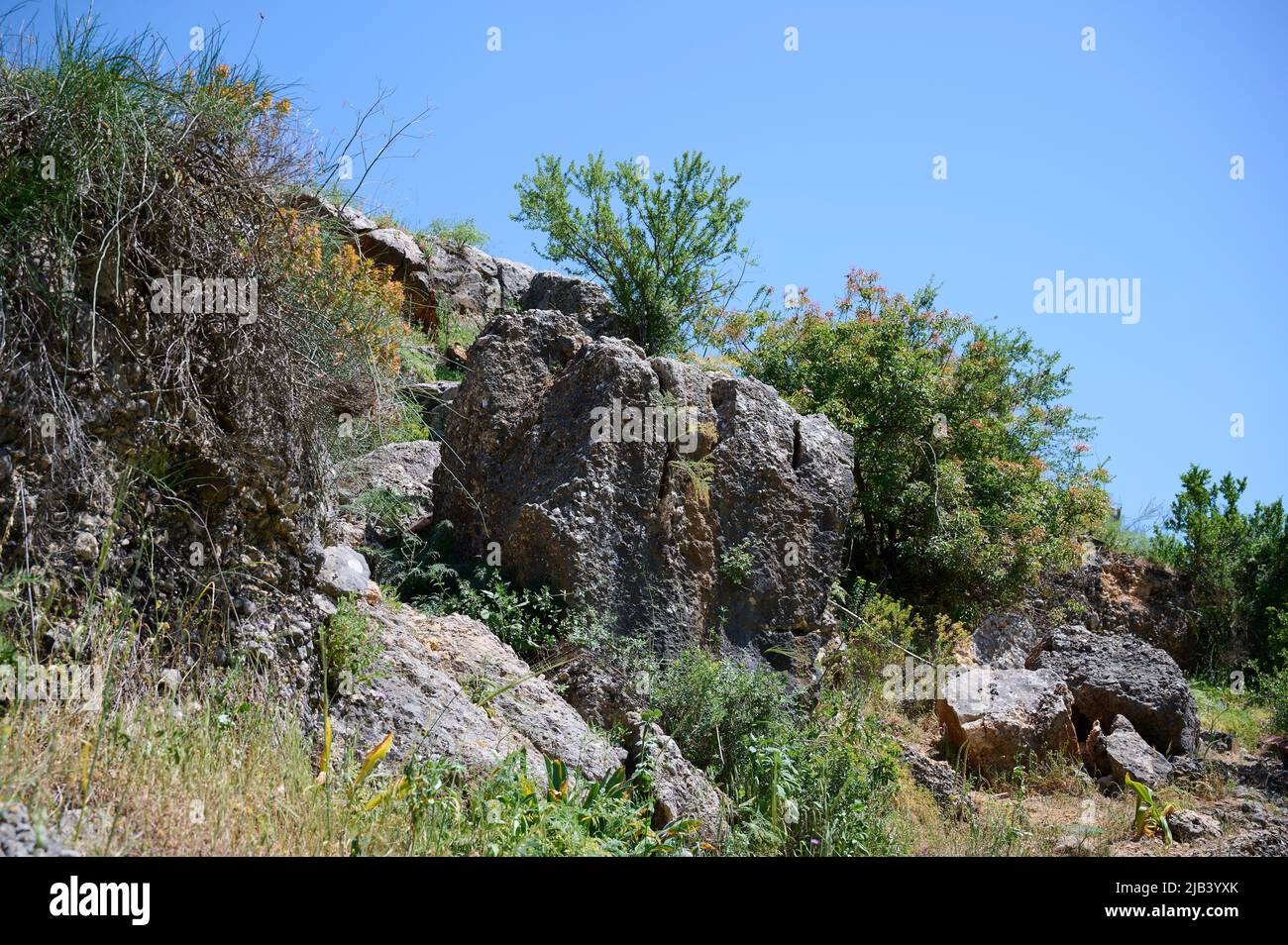 Landscapes and plants in the area of the Ayuna water stream. River ...