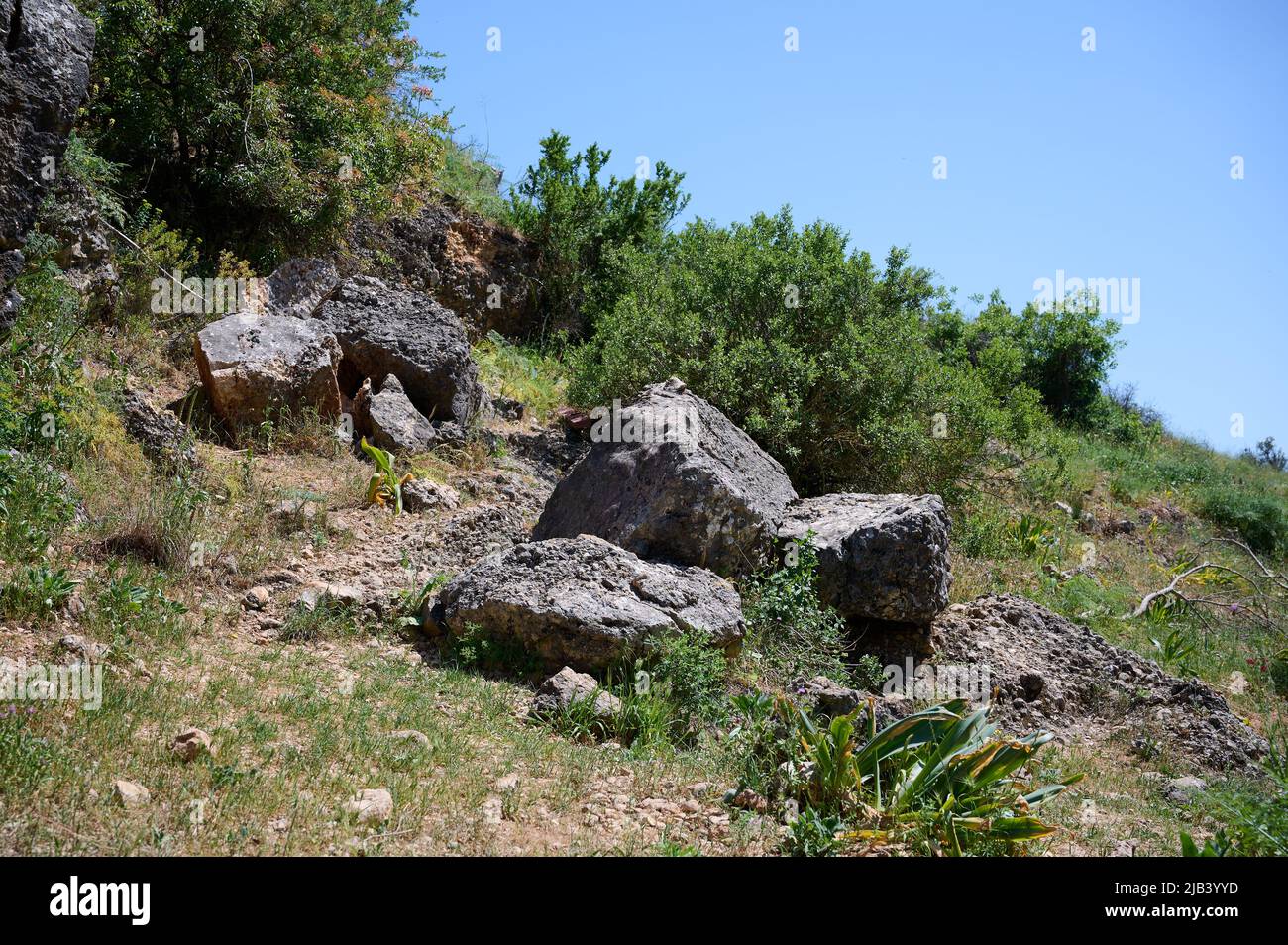 Landscapes and plants in the area of the Ayuna water stream. River ...