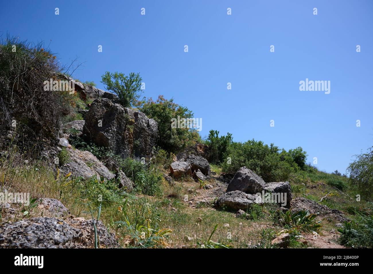 Landscapes and plants in the area of the Ayuna water stream. River ...