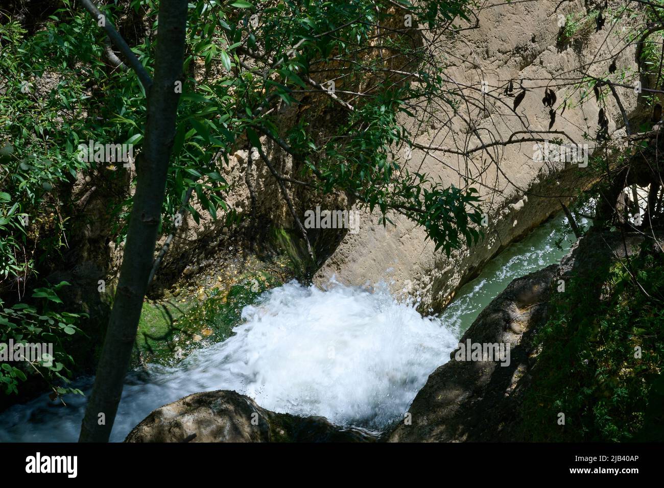 Windbreak and deadwood Ayuna water stream. River Nahal Ayun. Reserve ...