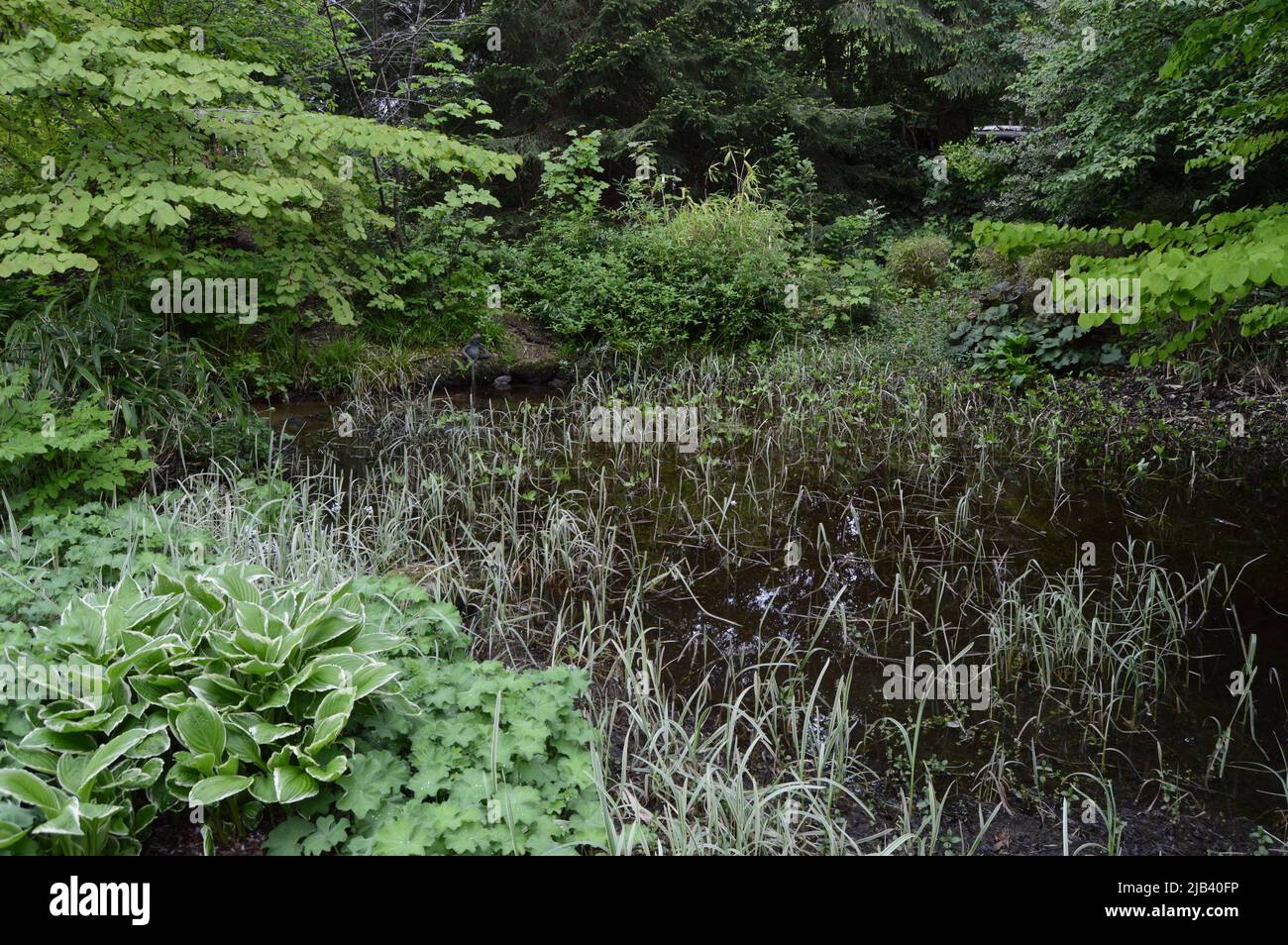 Beatrix Potter Garden, Birnam, can you spot Mr Jeremy Fisher, the Frog ...