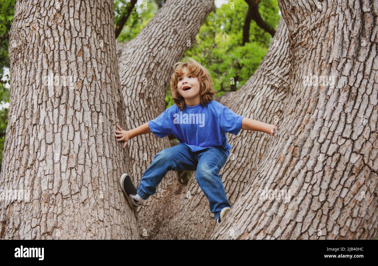 Little cute boy, climbing the tree in nature. Kids playing outdoor ...