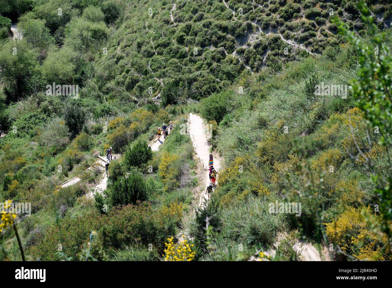 Landscapes and plants in the area of the Ayuna water stream. River ...