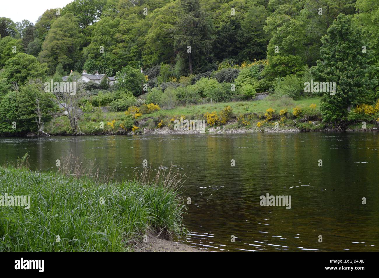 River Tay from south bank at Birnam, May 2022 Stock Photo - Alamy