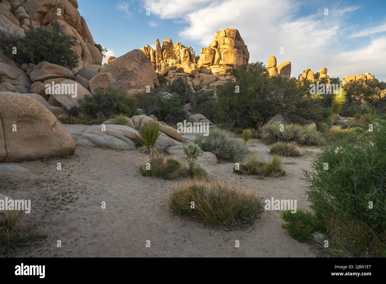 hiking the hidden valley nature trail in josua tree national park in ...