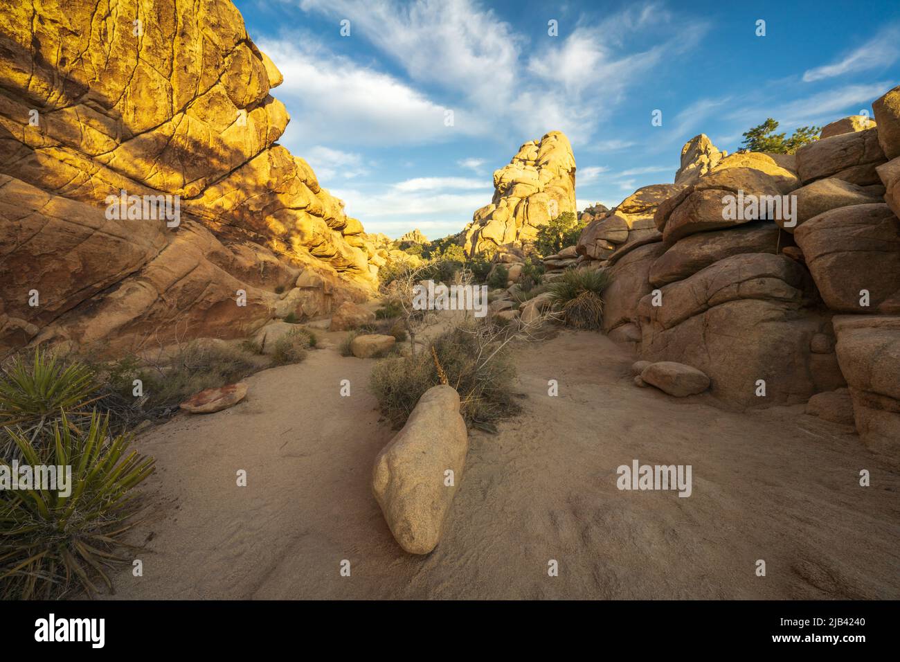 hiking the hidden valley nature trail in josua tree national park in ...