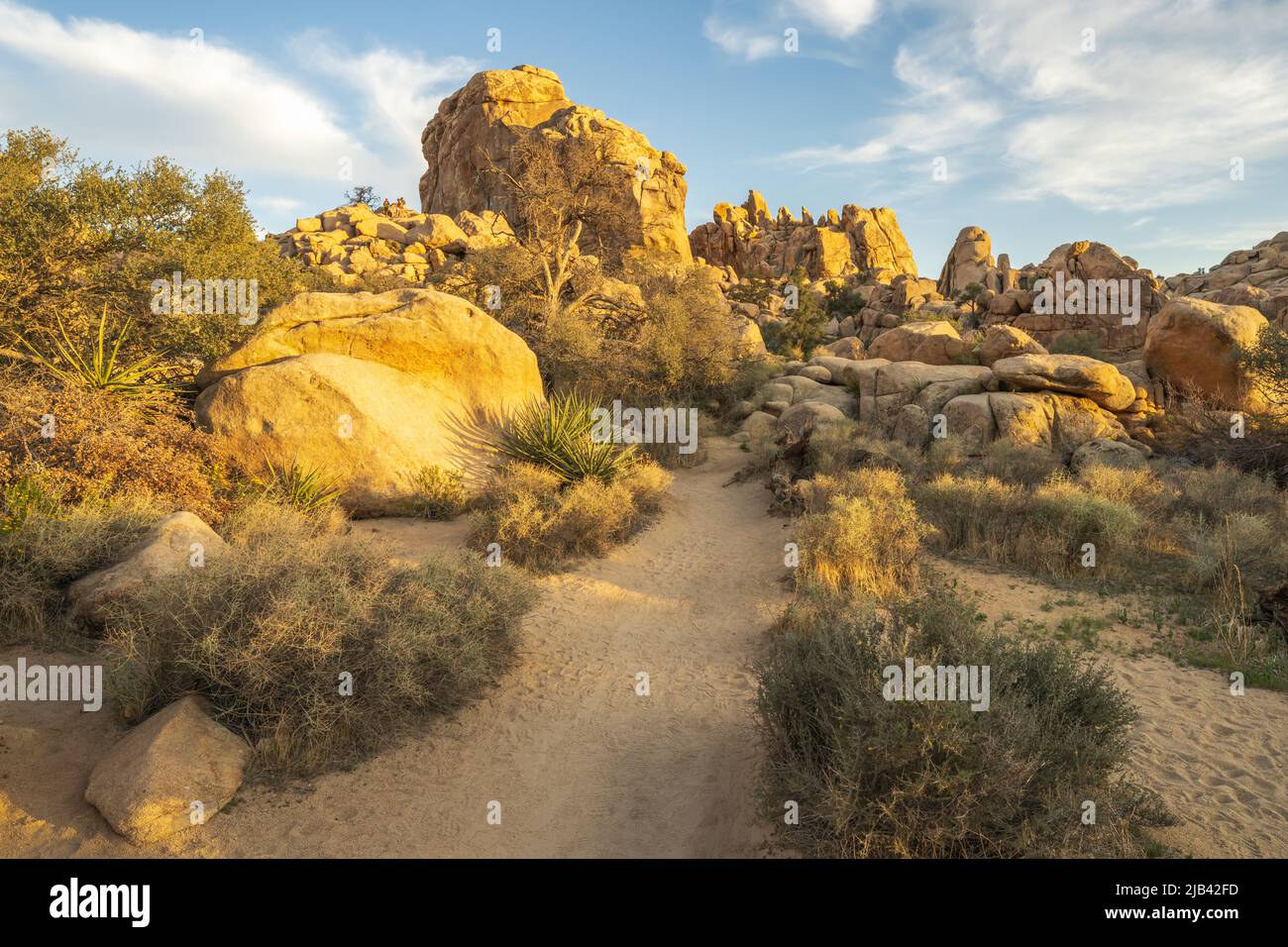 hiking the hidden valley nature trail in josua tree national park in ...