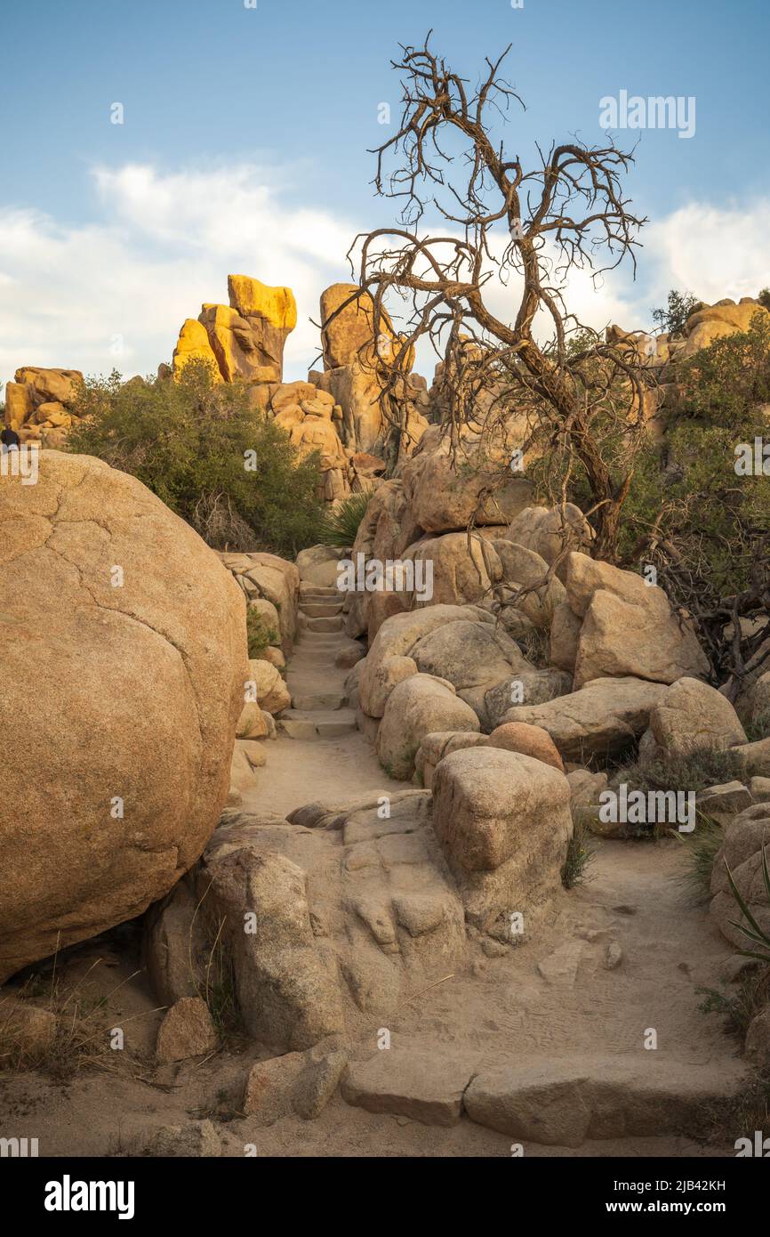 hiking the hidden valley nature trail in josua tree national park in ...