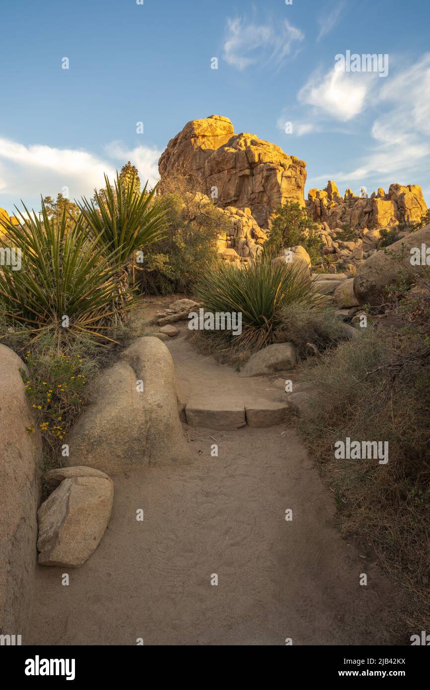 hiking the hidden valley nature trail in josua tree national park in ...