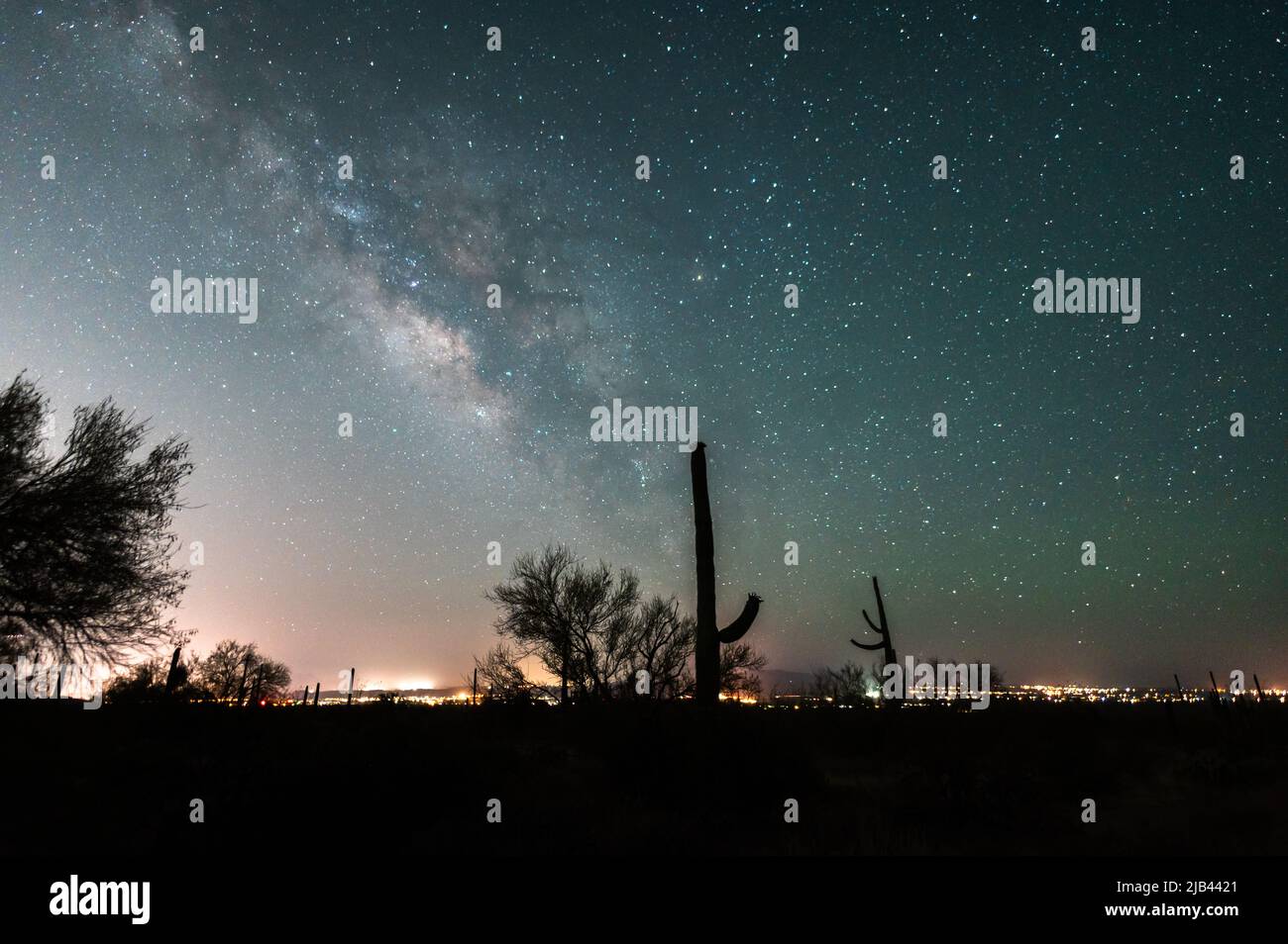 Milky way and saguaro cactus hi-res stock photography and images - Alamy