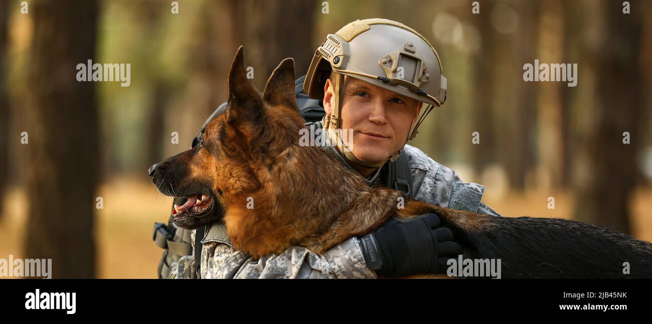 Male soldier with military working dog outdoors Stock Photo - Alamy