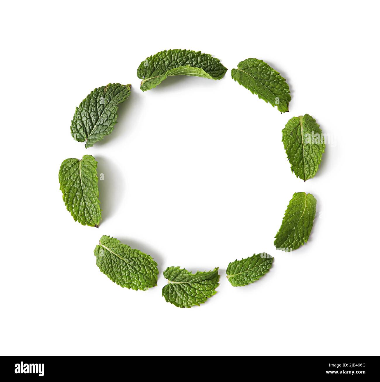 Frame made of mint leaves on white background Stock Photo - Alamy