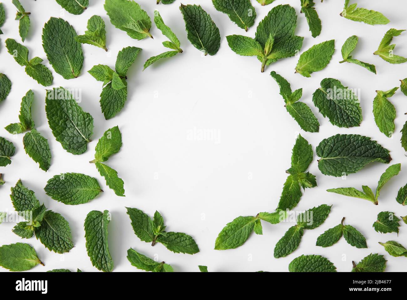 Frame made of mint leaves on white background Stock Photo - Alamy