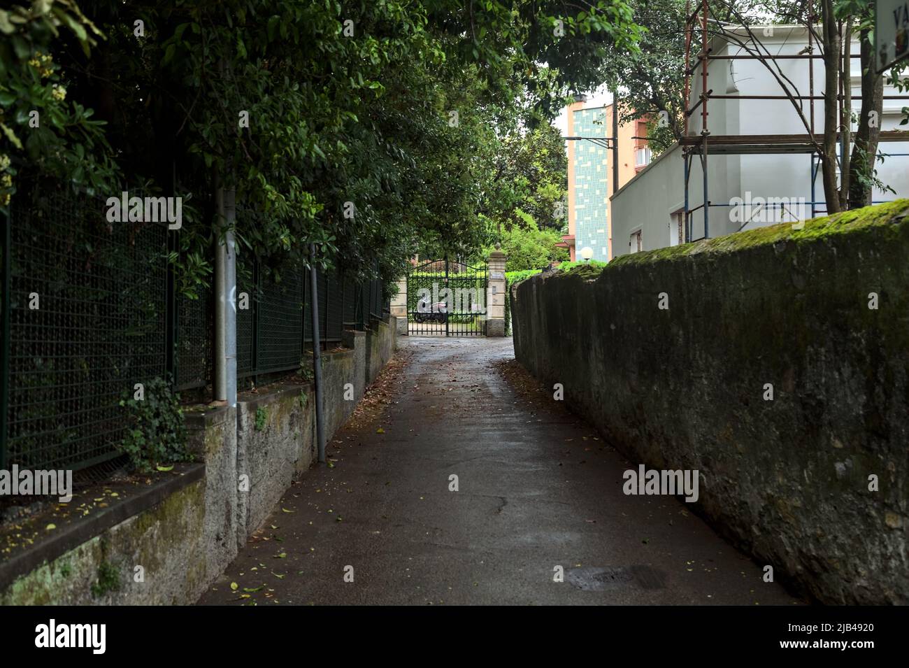 Side road bordered by concrete walls and trees with a gate at the end ...