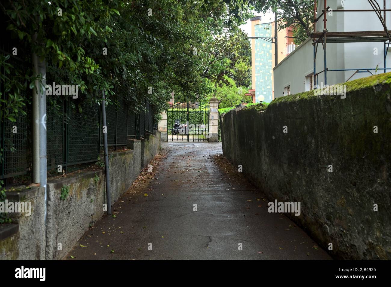 Side road bordered by concrete walls and trees with a gate at the end ...