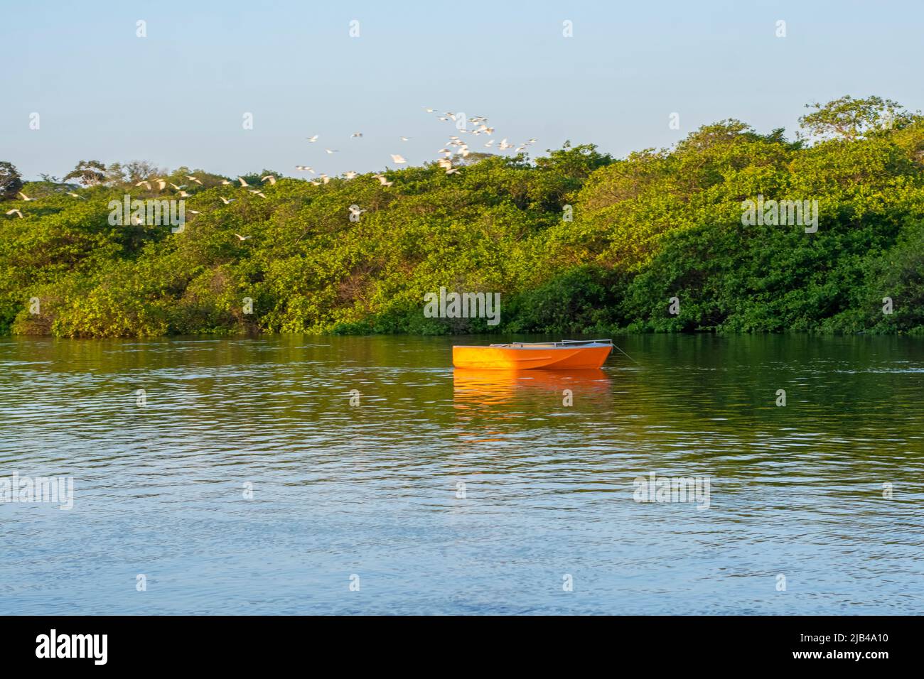 Canoes and boats docked on the Jaguaripe River in Maragogipinho ...
