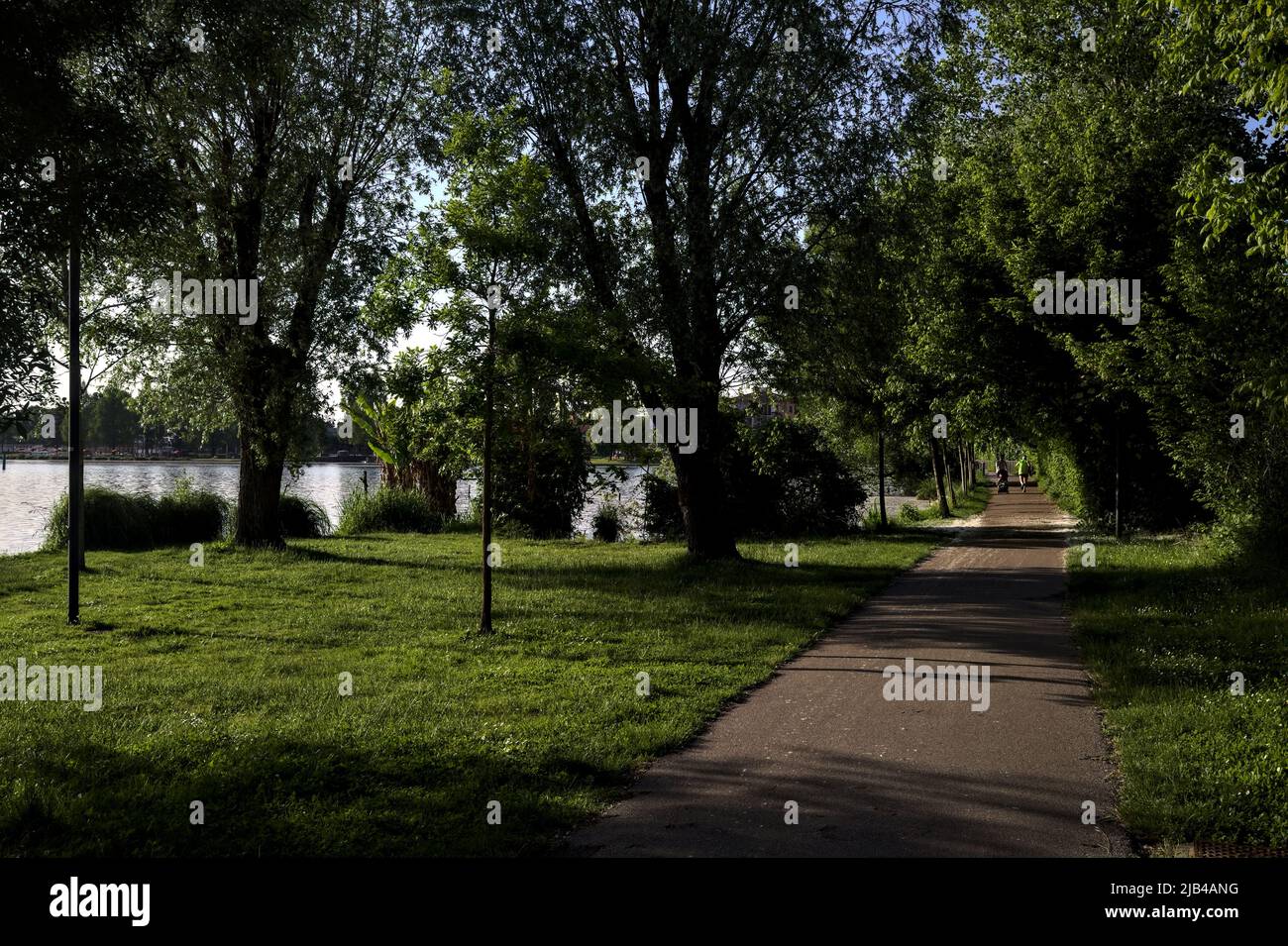 Paved path in a park by the shore of a lake at sunset Stock Photo - Alamy