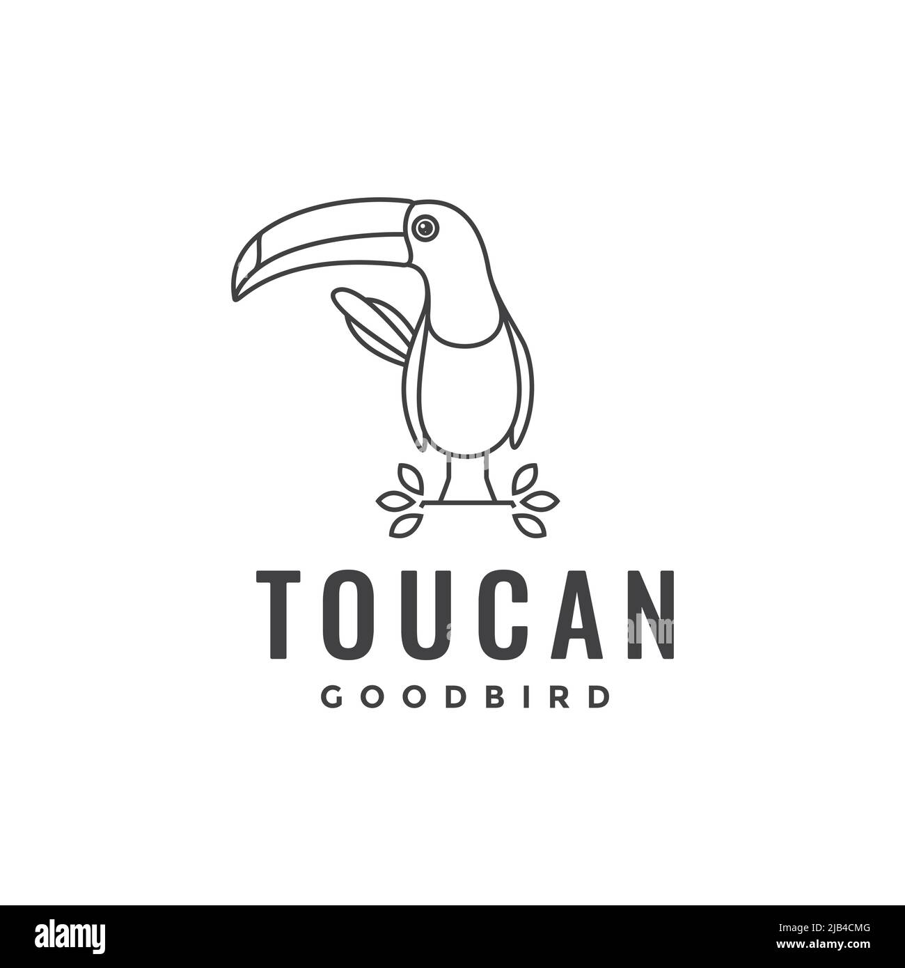 line toucan bird with branch tree logo design vector graphic symbol ...