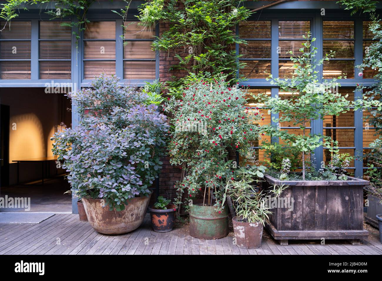 Landscaping of urban public spaces with different potted plants ...