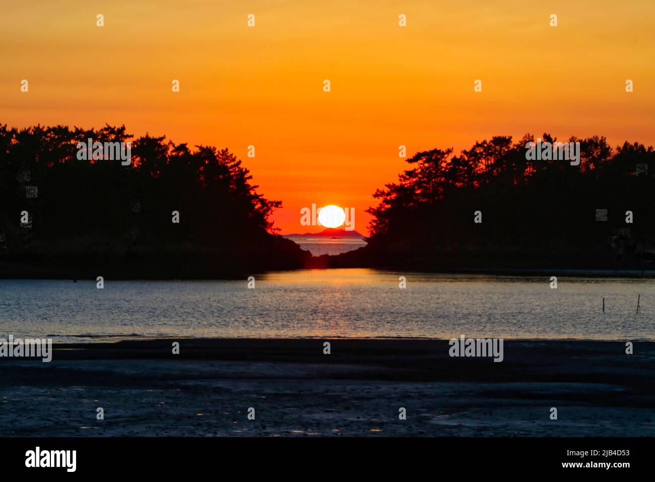 Beautiful sunrise between trees hi-res stock photography and images - Alamy