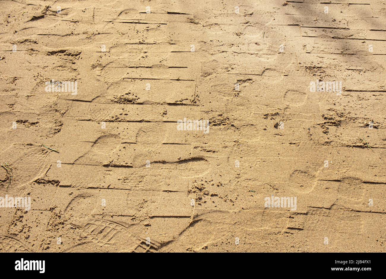 Shoe sole print on wet sand, sunny day in nature, shape and texture ...