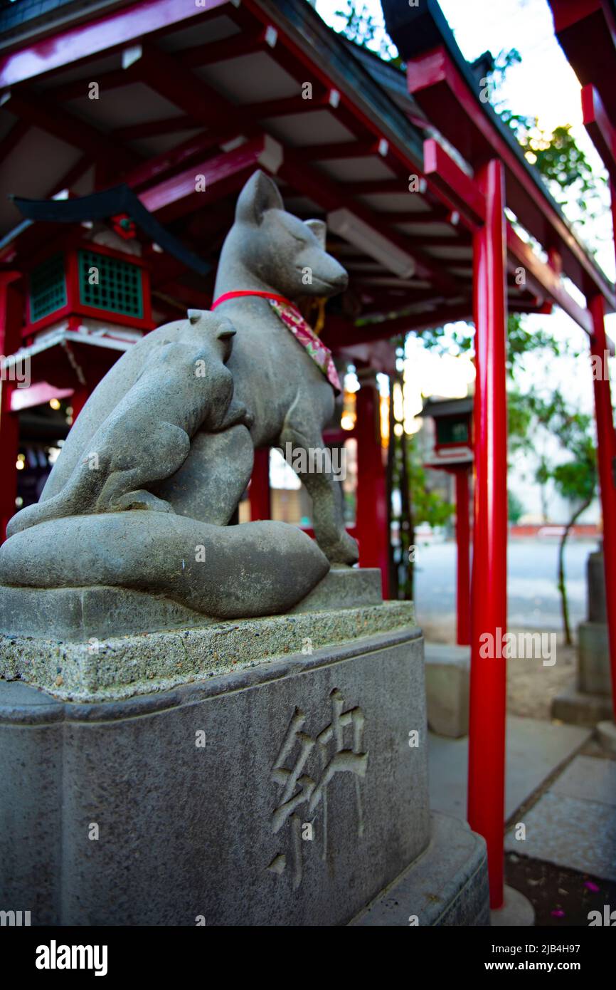 Statue guardian fox at Hanazono shrine in Tokyo Stock Photo - Alamy