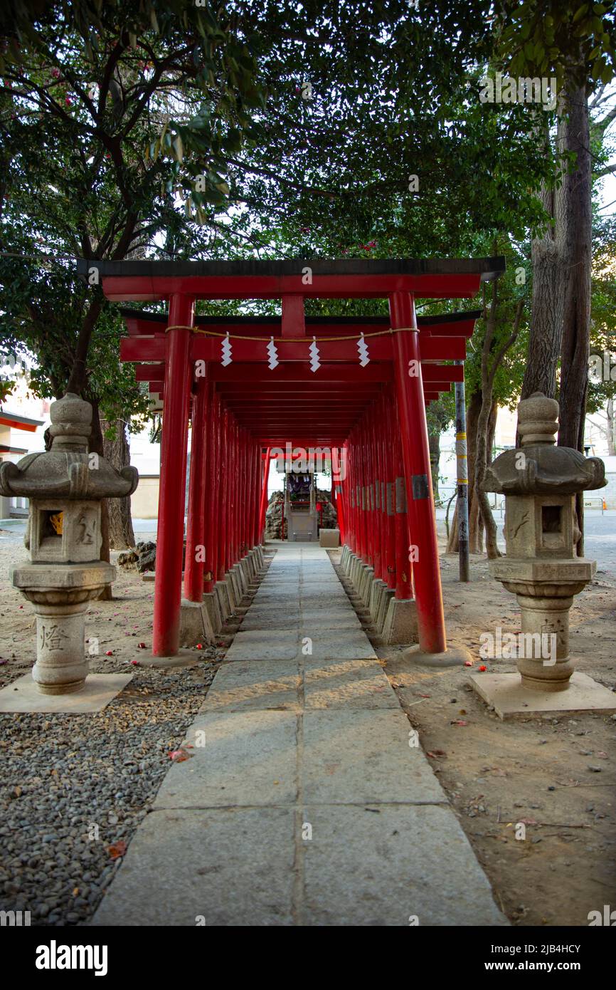 Big religious gate at Hanazono shrine in Tokyo Stock Photo - Alamy