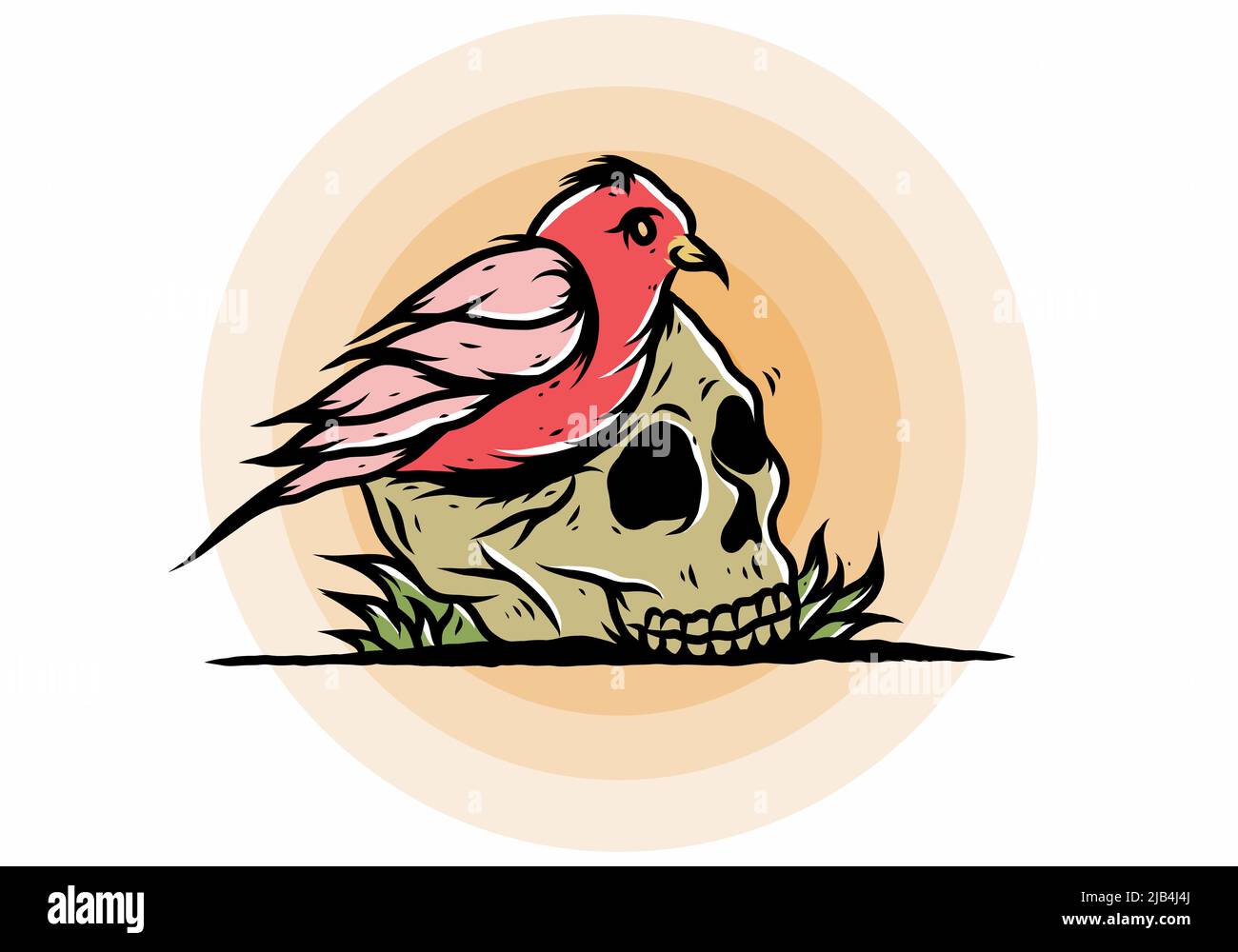 Bird nesting in skull illustration design Stock Vector Image & Art - Alamy