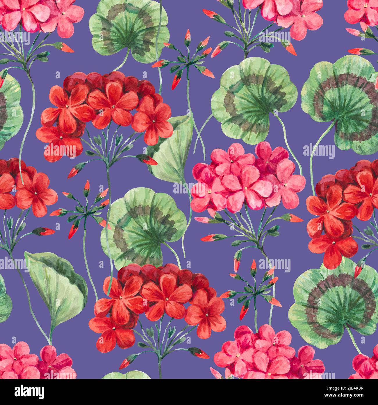 Watercolor seamless pattern of geranium flowers and leaves. Botanical ...