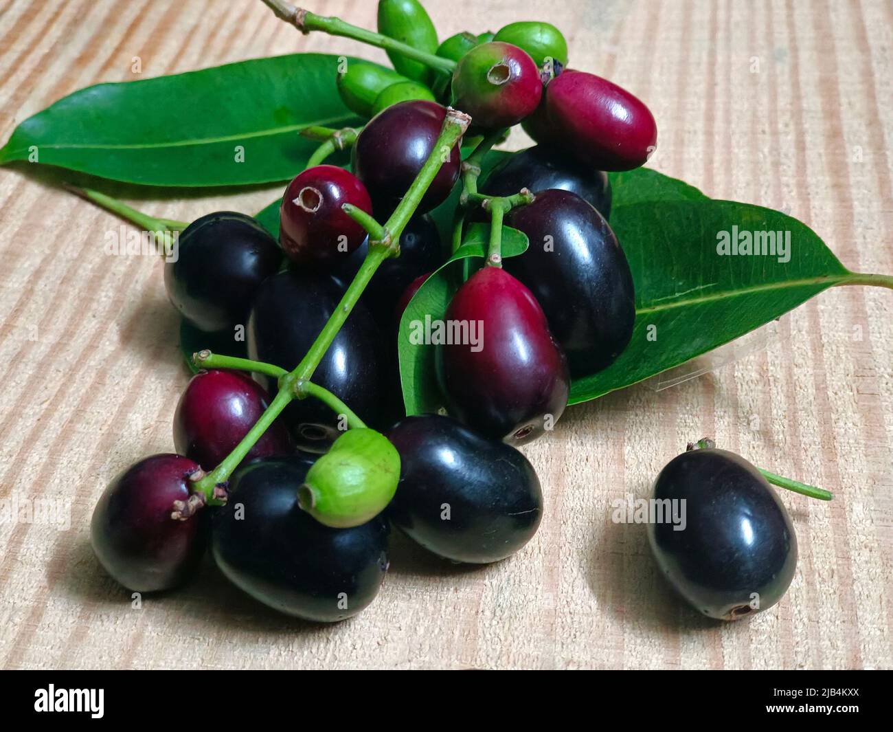 Fresh Jambolan plum or Java plum (Syzygium cumini) with leaf on wooden ...