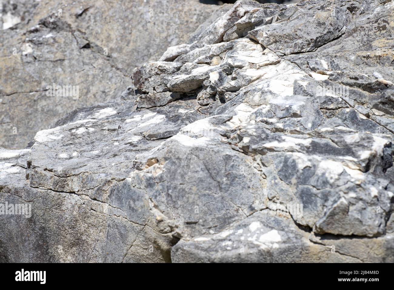 Close up Limestone in Akiyoshidai Quasi-National Park, Mine, Yamaguchi ...