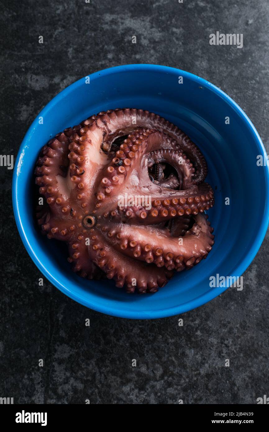 Octopus is boiled in a pot Stock Photo - Alamy