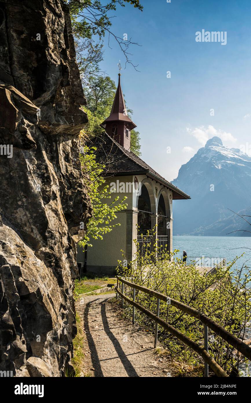 Tell's Chapel, Sisikon, Lake Lucerne, Canton Uri, Switzerland Stock ...