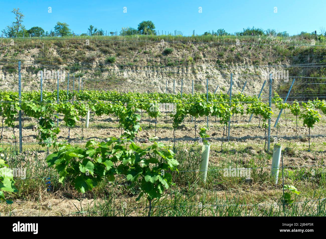 Loess agriculture hi-res stock photography and images - Alamy