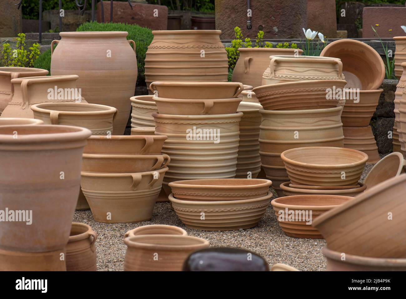 Potted flower bucket hi-res stock photography and images - Alamy