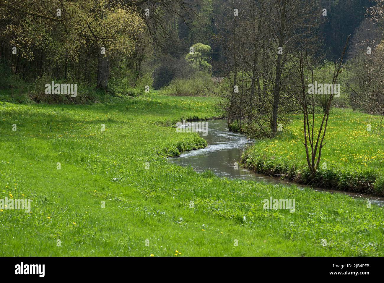 Spring in the Aufsess valley, the little river Aufsess in its upper ...